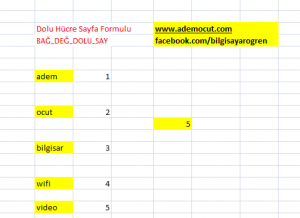 excel bag deg dolu say formülü | Sistem ve Ağ Uzmanlığı | Adem OCUT